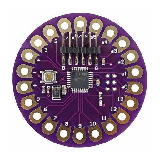 PlacadeDesarrolloLilypadCompatibleconArduino_Ferretronica_1024x1024.jpg ...